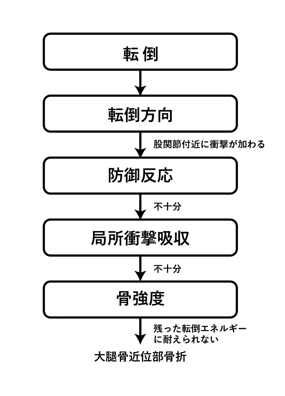 骨折を防ぐための骨粗鬆症治療とは？《Column vol.18》 - 株式会社Magic Shields｜高齢者の転倒骨折対策に【ころやわ】